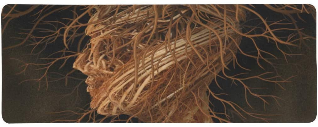 FMSHPON Funny Taking Roots as Underground Tree Roots Shaped Like a ...