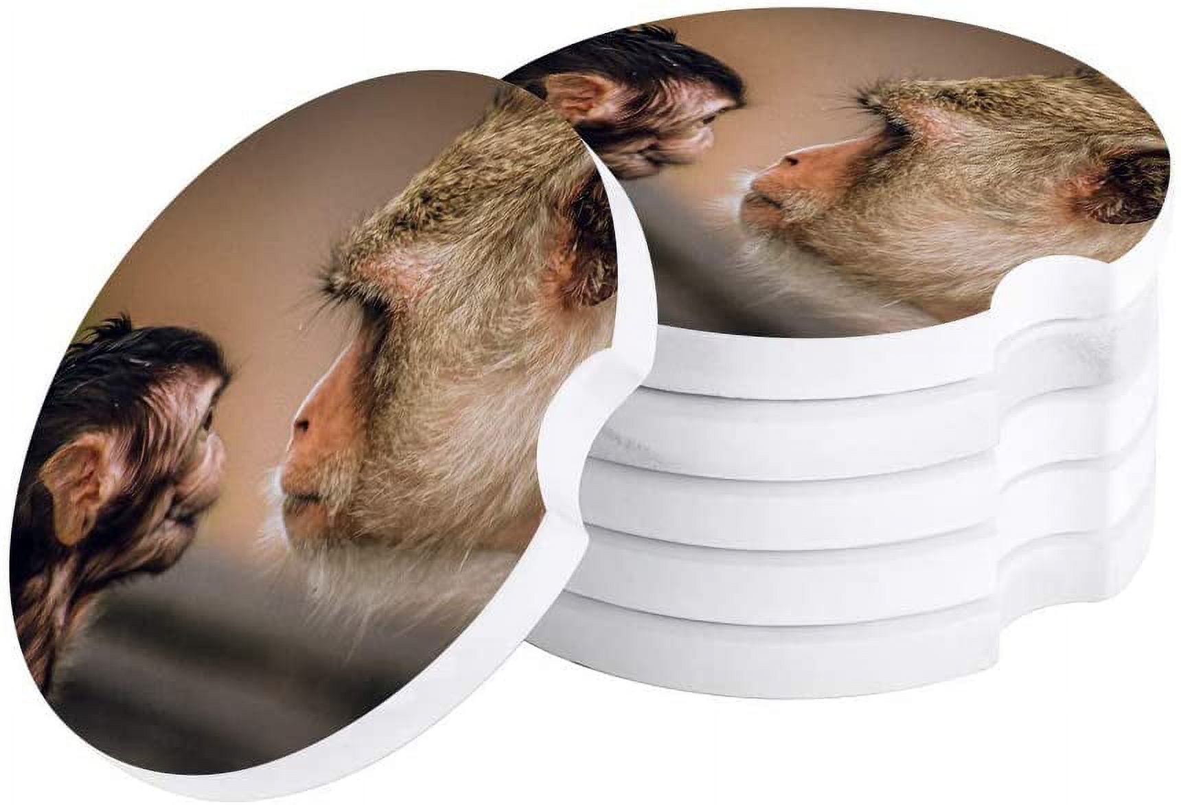 FMSHPON Monkeys Look at Each Other Set of 4 Car Coaster for Drinks ...