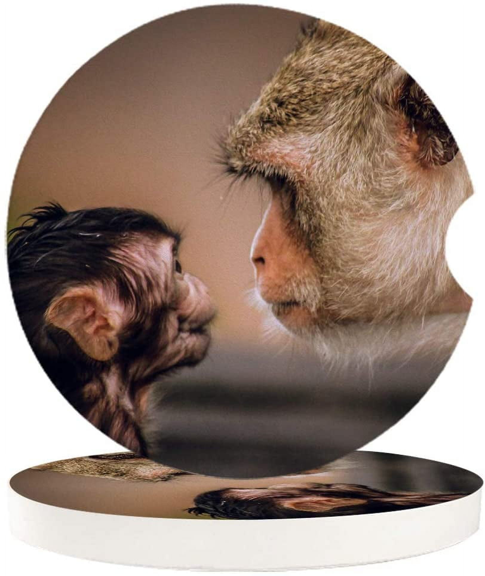 FMSHPON Monkeys Look at Each Other Set of 6 Car Coaster for Drinks ...