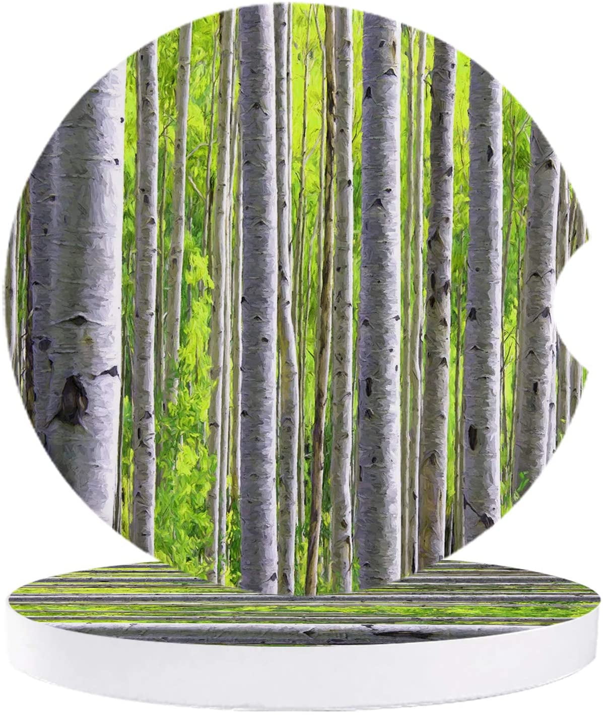 FMSHPON Oil Painting Style Birch Forest with Green Leaves Set of 6 Car ...