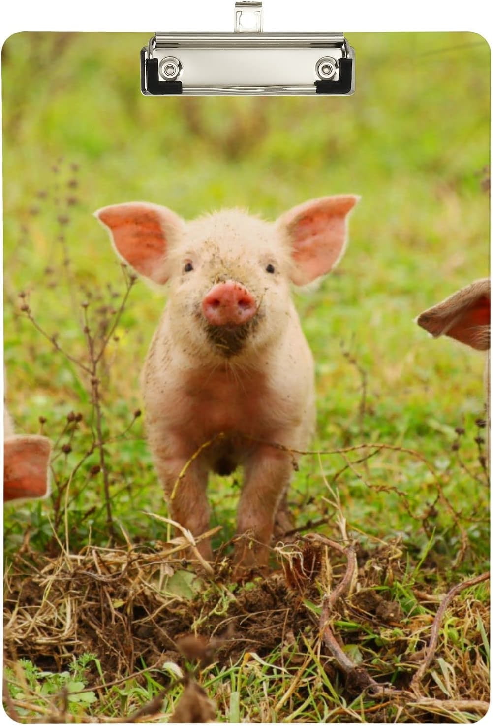 FMSHPON Piglet Farmland Clipboard Hardboard Wood Nursing Clip Board and ...