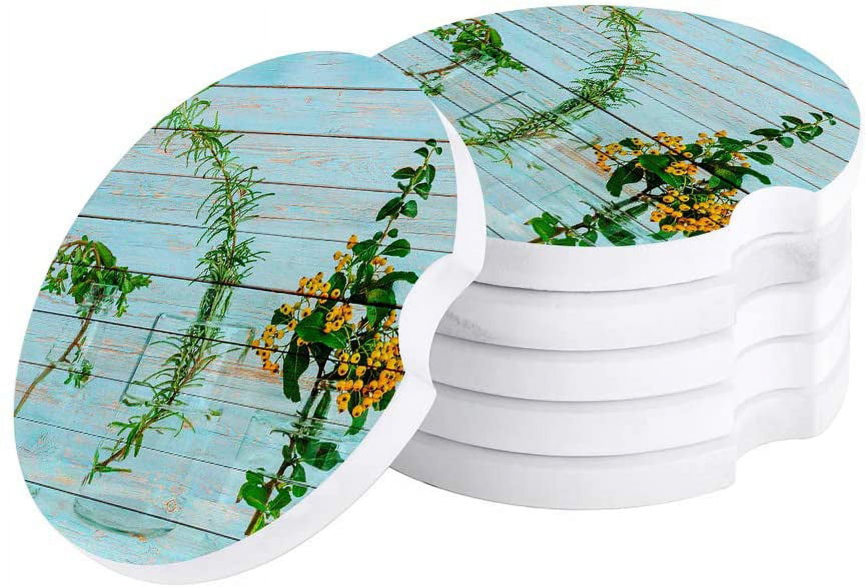 FMSHPON Plant in Glass Bottle Blue Wood Grain Set of 4 Car Coaster for ...