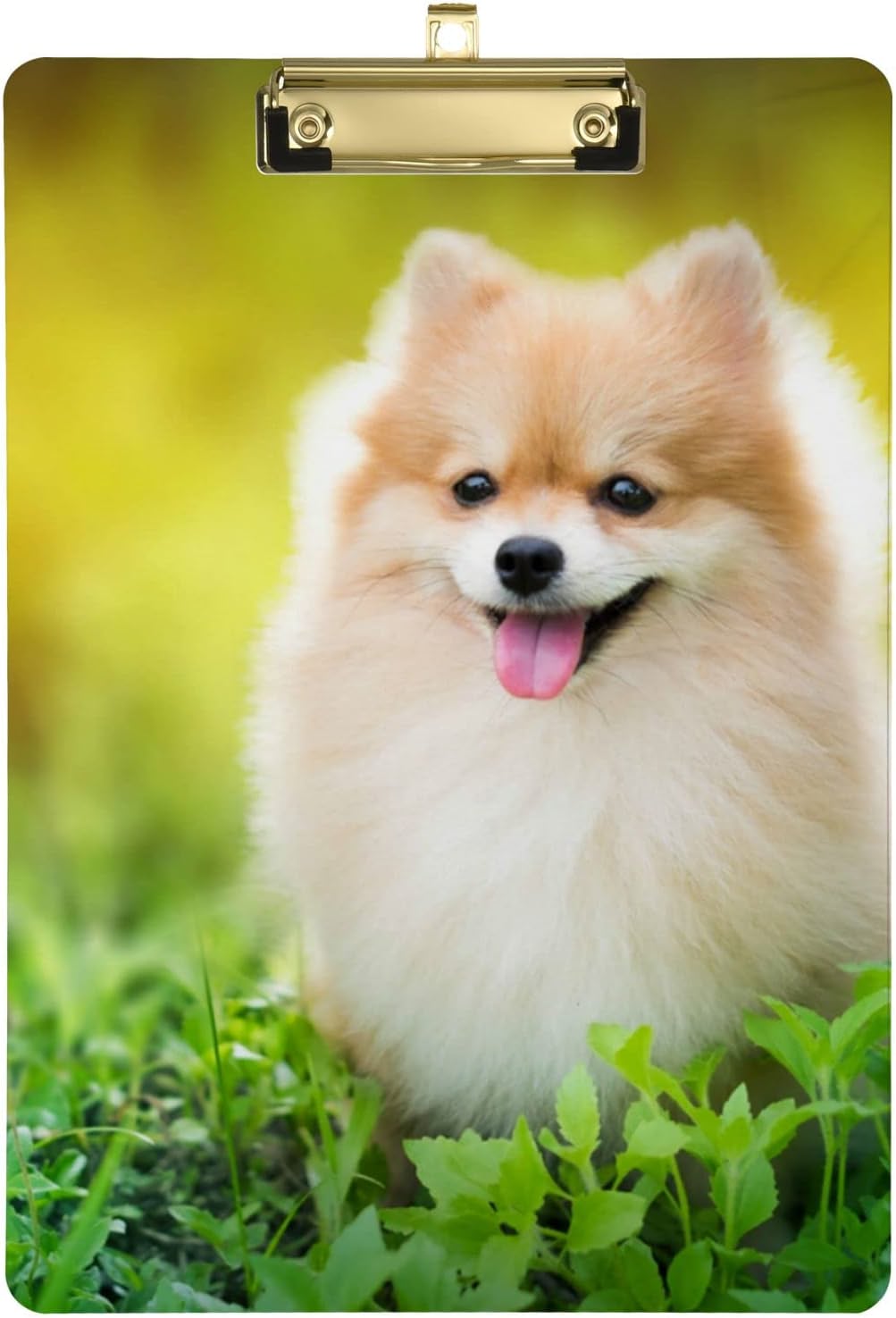 FMSHPON Pomeranian Dog Clipboard Hardboard Wood Nursing Clip Board and ...