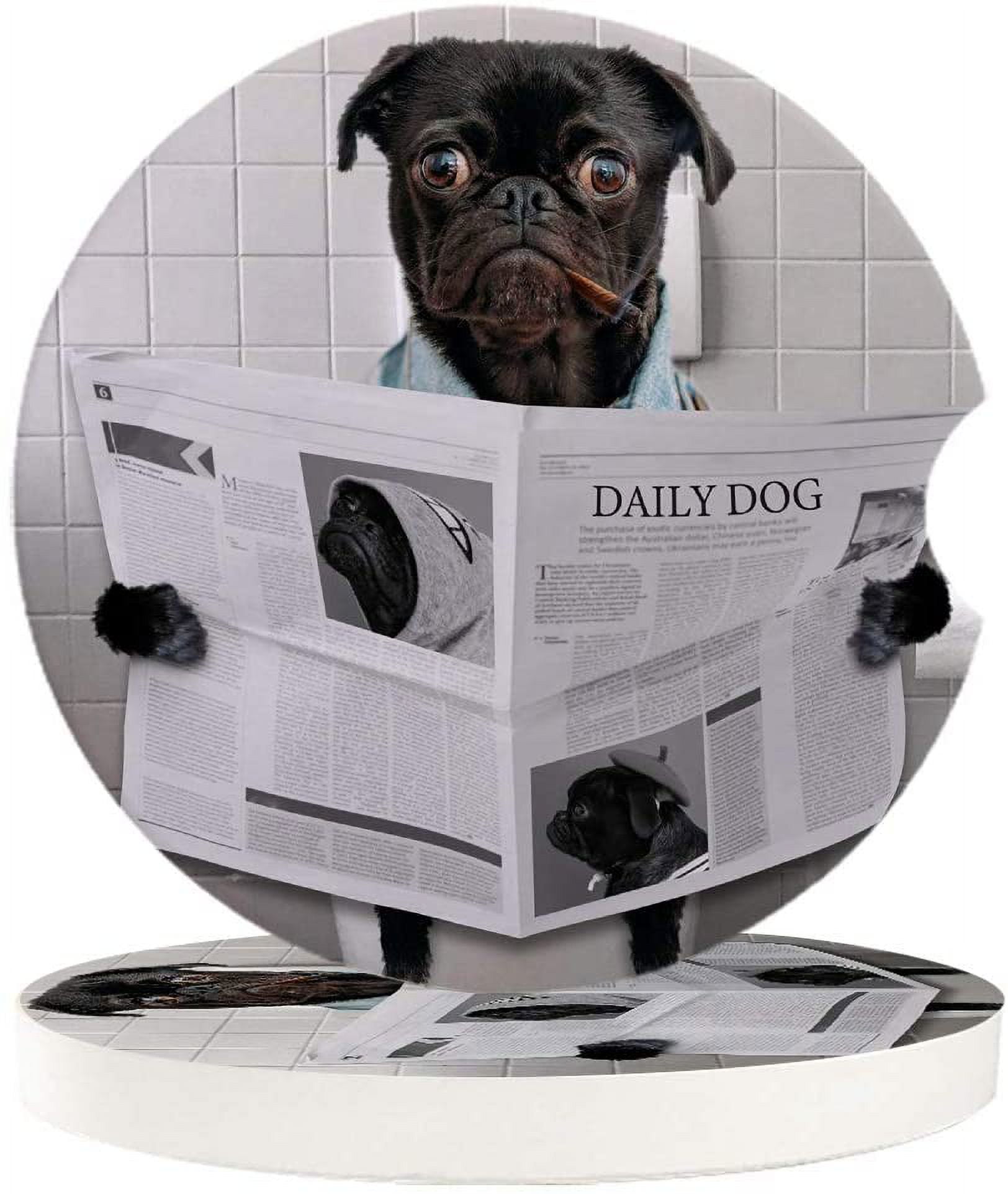 FMSHPON Pug Dog Read Newspaper on Toilet Set of 6 Car Coaster for ...