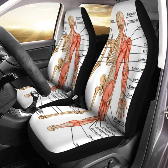 FMSHPON Set of 2 Car Seat Covers Human Skeleton from The Posterior View ...