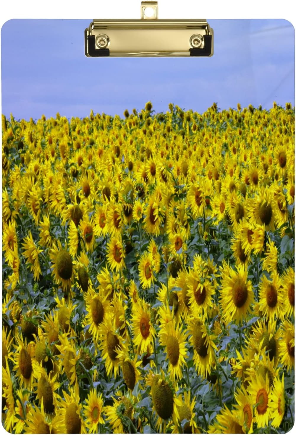 FMSHPON Windy Sunflower Field Clipboard Hardboard Wood Nursing Clip ...
