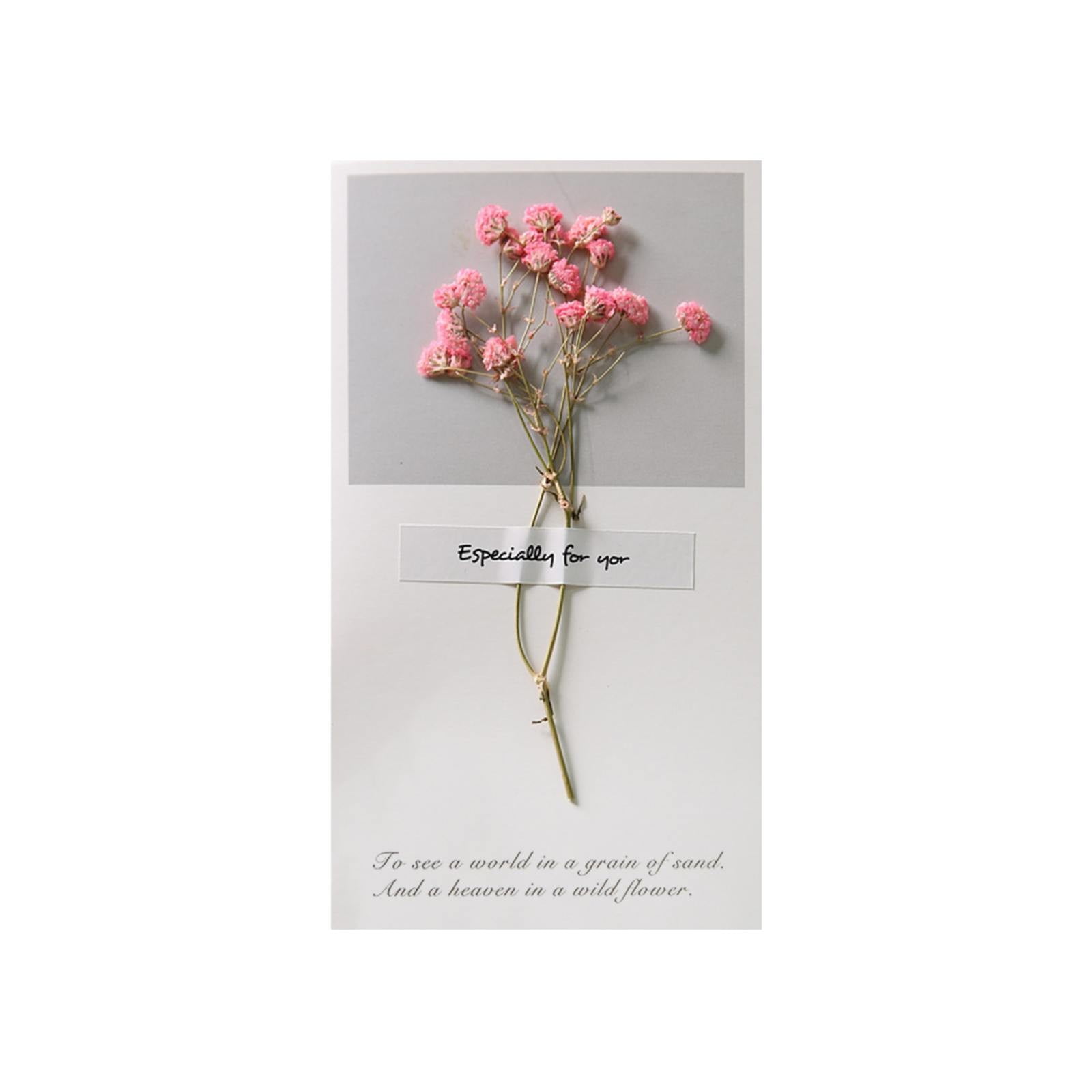 FNGZ Greeting Card Clearance Promo Dried Flower Greeting Cards Mother's ...