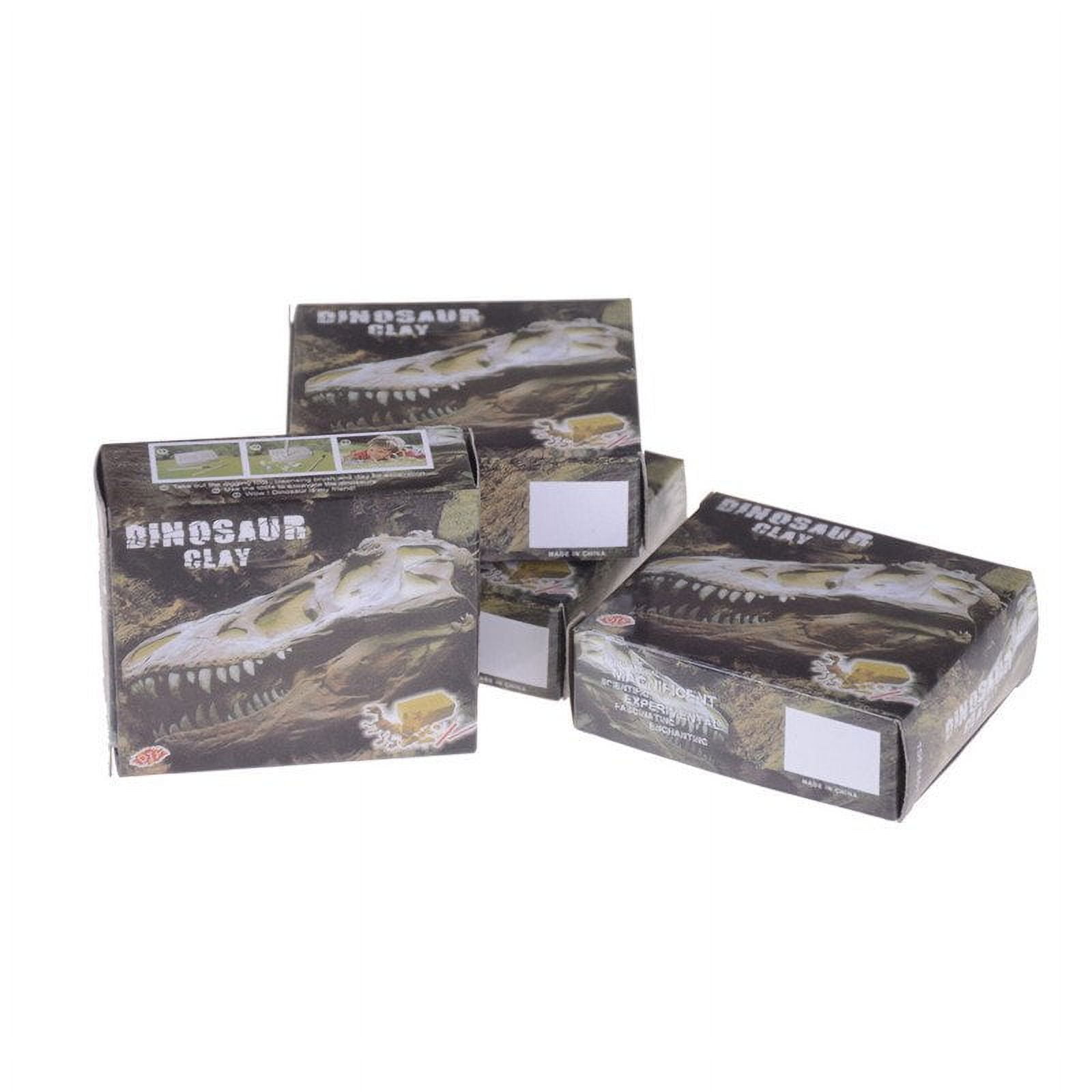 FNNMNNR 1PC Dinosaur Excavation Kit Archaeology Dig Up Fossil Skeleton Fun Kids Toy Gift ...