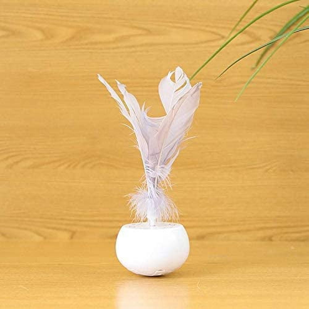 FNNMNNR Interactive Cat Toys, Remote Control Indoor Cats Automatic ...