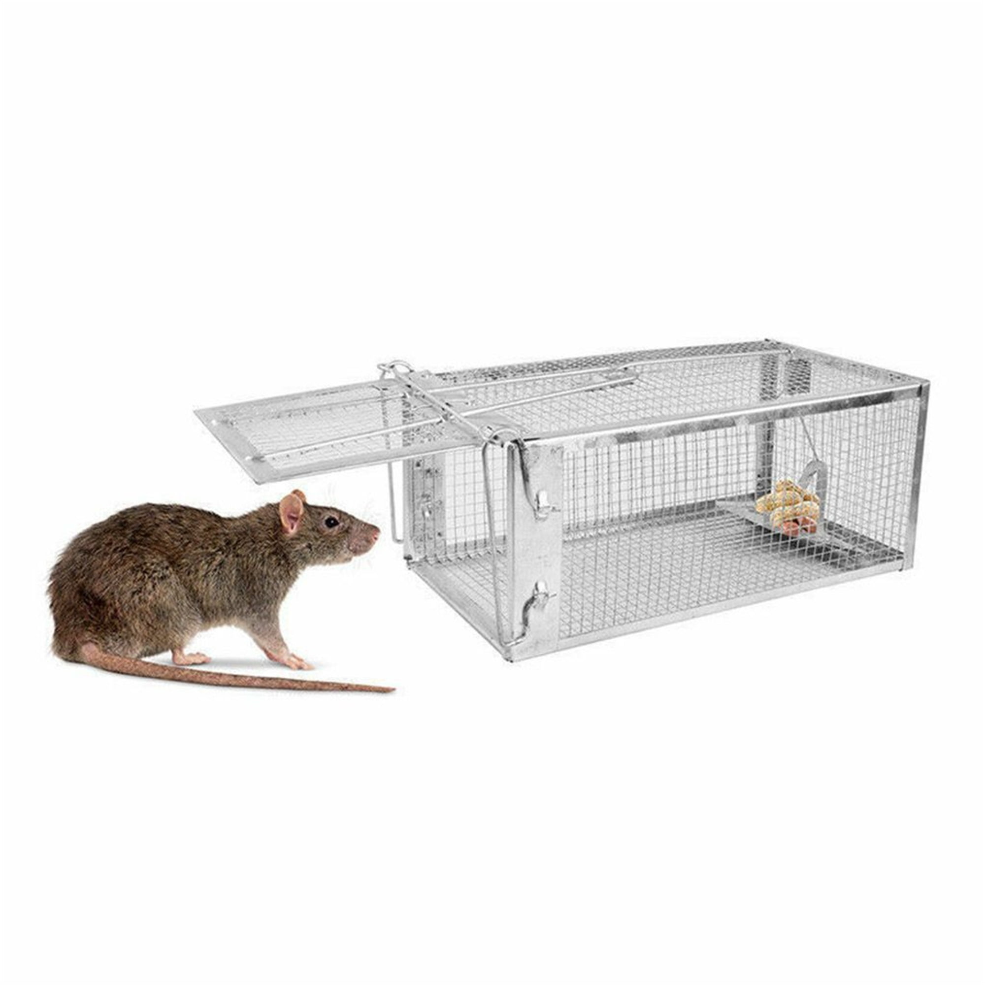 FOCUSSEXY 1-3x Live Humane Cage Trap Rat Animal Live Trap Stainless ...