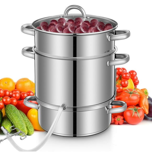 Small Electric Steamer