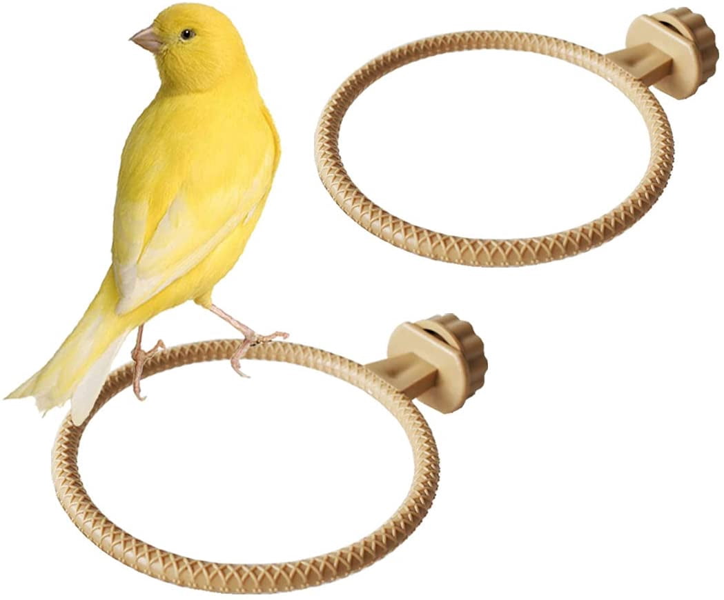FOIBURELY 2 Ring Plastic Stand Perches Holders Canary Finch Budgie Bird ...