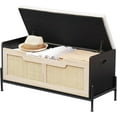FOLDLIFE Rattan Storage Bench with Safety Hinges, Versatile Storage ...