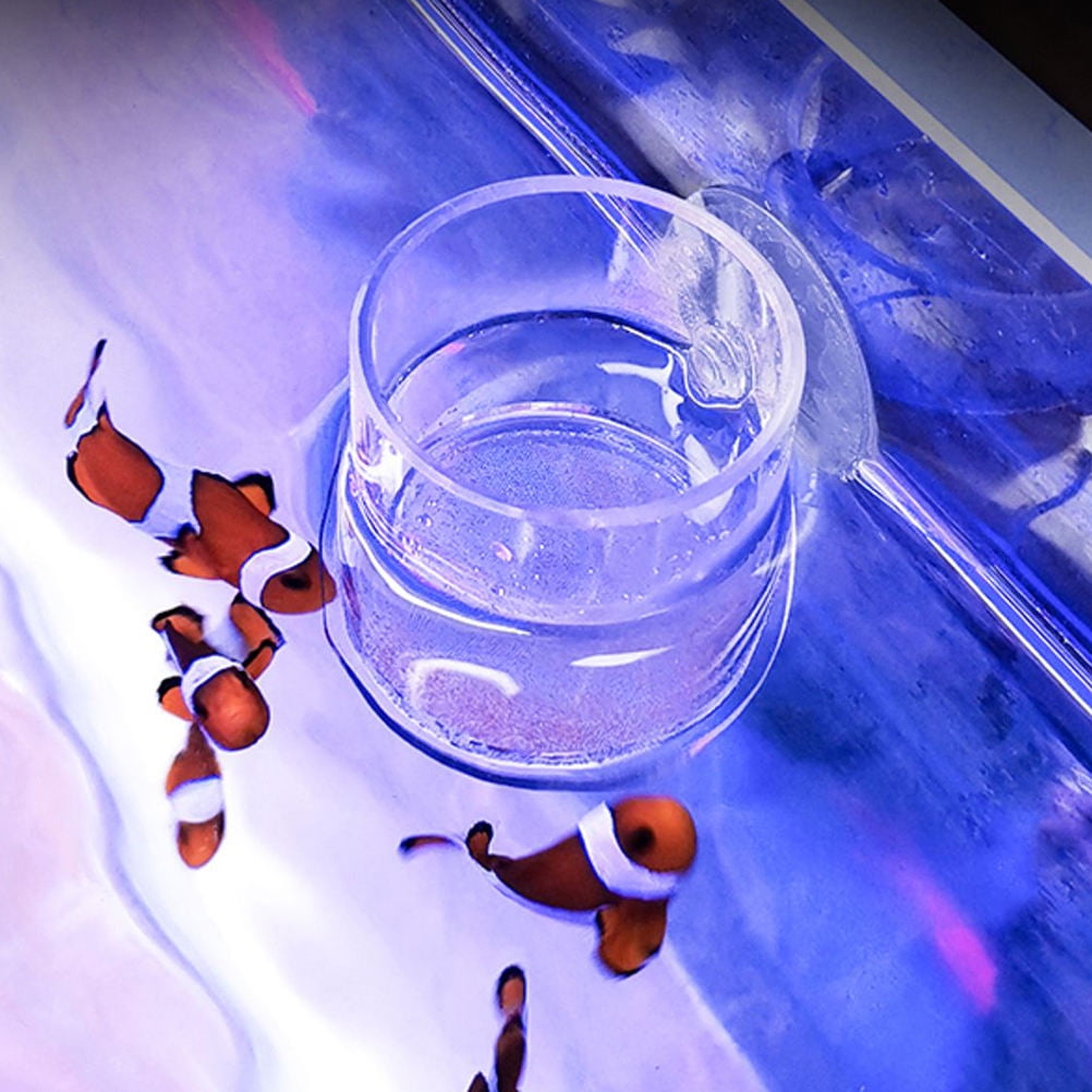 FOLOYORI 1Set Aquarium Gadget Circular Fish Feeder Transparent Acrylic ...