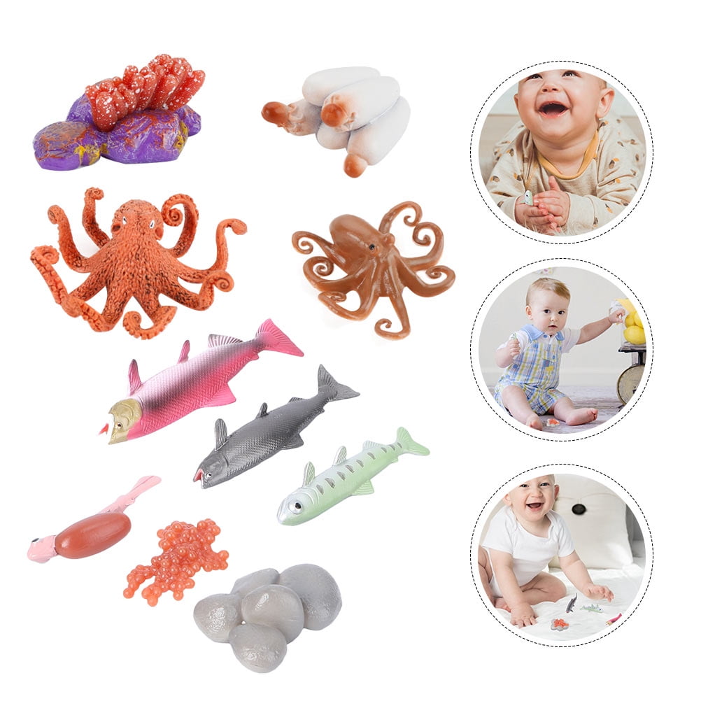 FOLOYORI Life Cycle Kit Toy Montessori Abs Plastic Home Decoration Sets ...