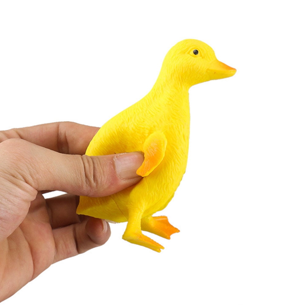 FOLOYORI 6Pcs Poultry Molds Chicken Figure PVC Life Cycle Growth Models ...