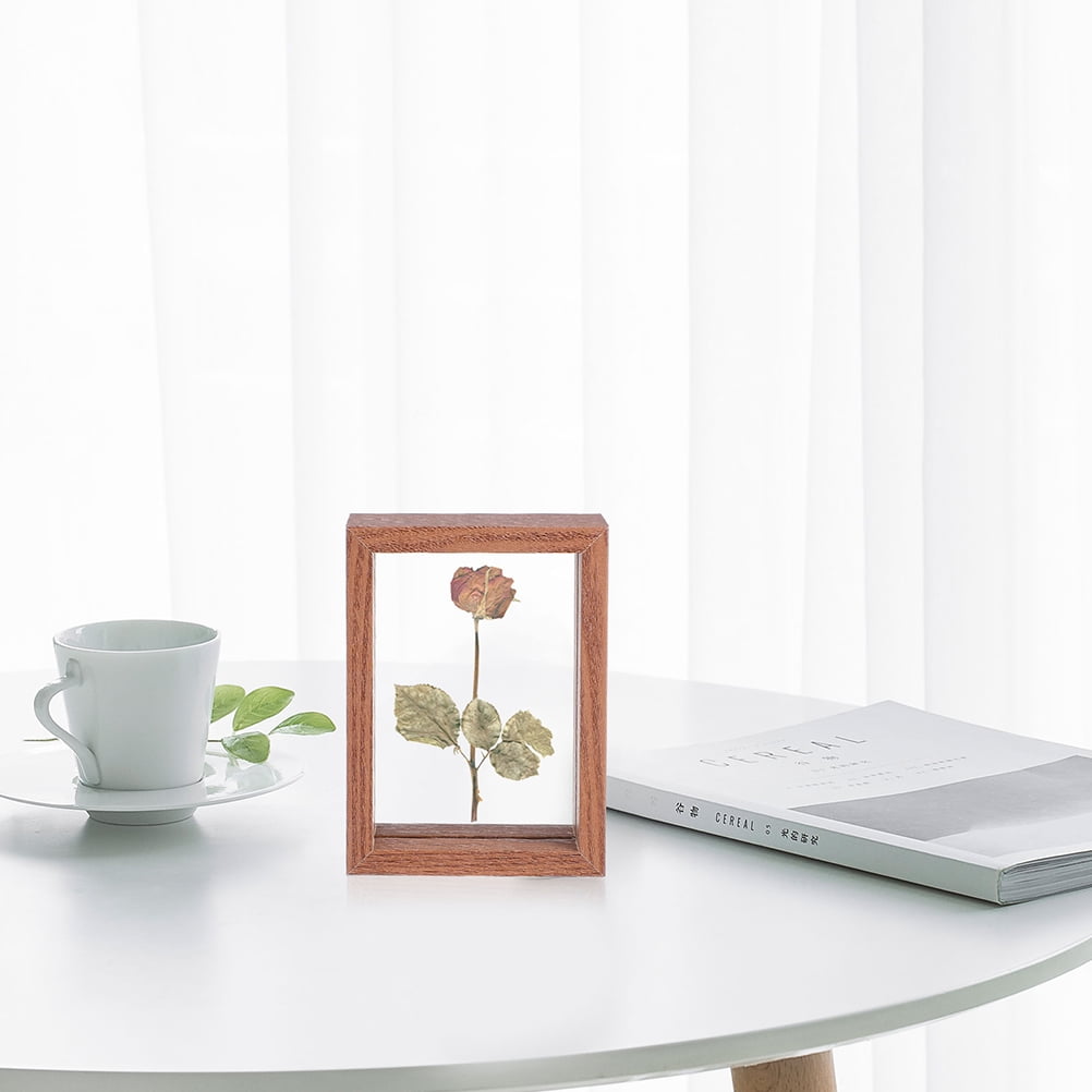 FOMIYES Botanical Specimen Frame Storage Display 1Pack 7 Inches ...