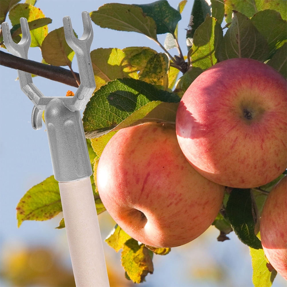 FOMIYES OUNONA 15Pcs Tree Branch Support Racks Tree Braces Gardening ...