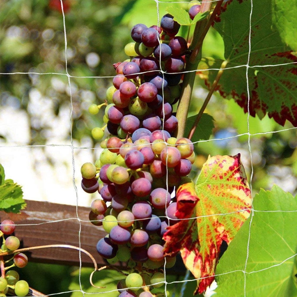 FONDOTIN 1 Set Garden Trellis Netting Square Holes White for Plant ...