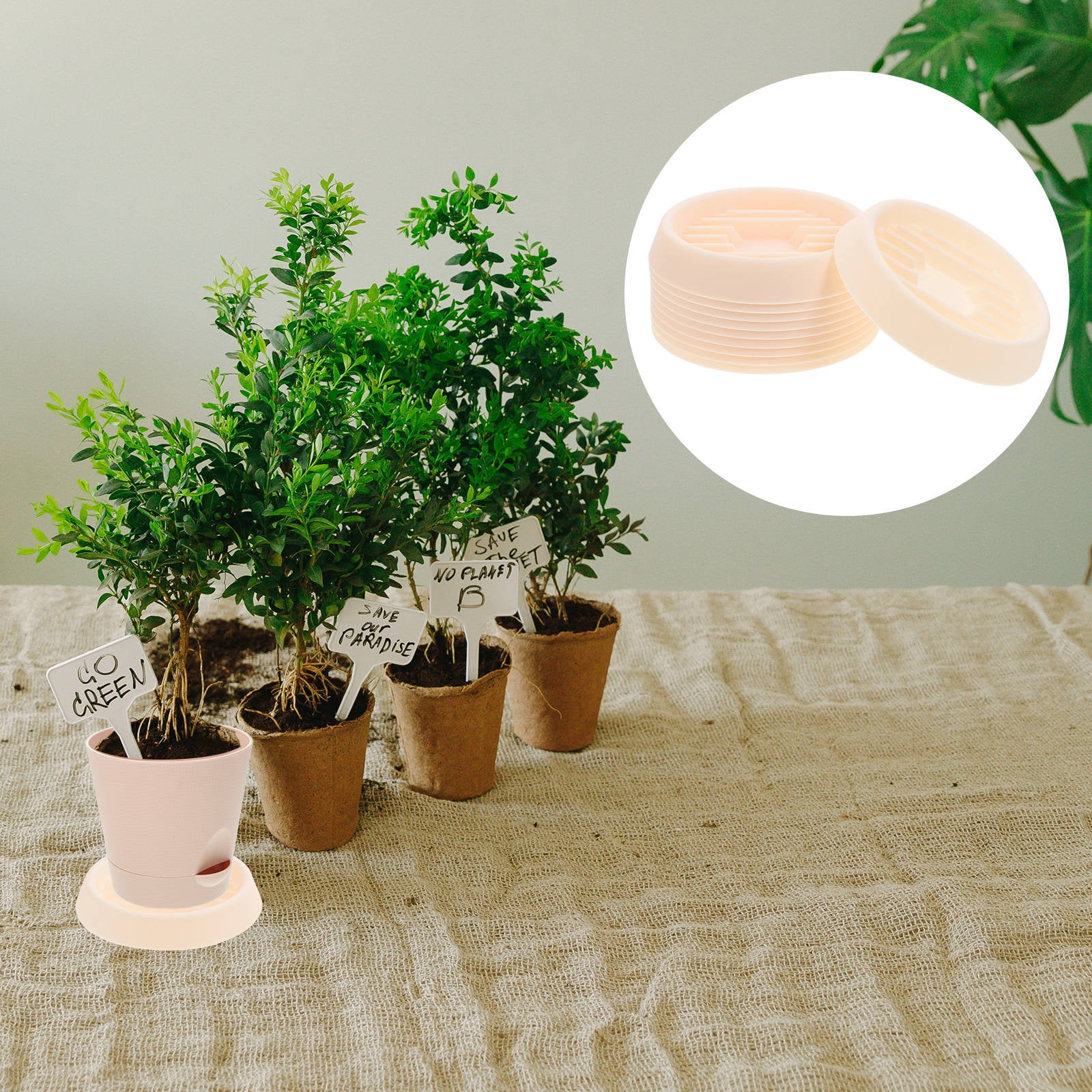 FONDOTIN 10Pcs Beige Round Plastic Plant Pots Base Trays for Indoor ...