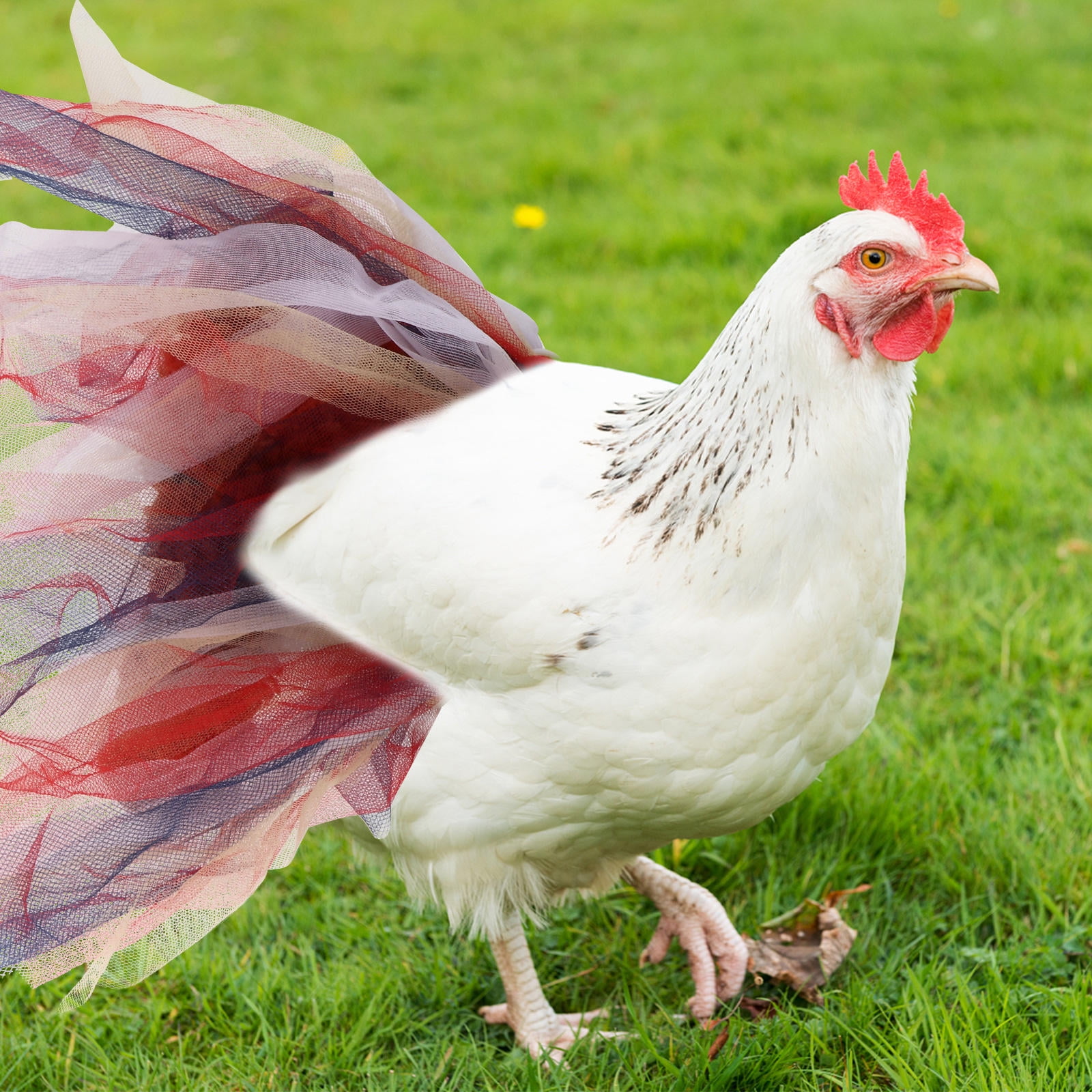 FONDOTIN 1Pcs Chicken Protector Saddle for Hens Tulle Netting Fabric ...