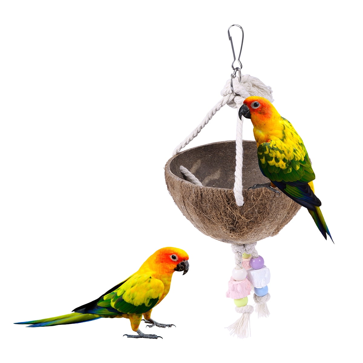 FONDOTIN 1Set Natural Parrot Toys Coconut Shell Basket Swing for Bird ...