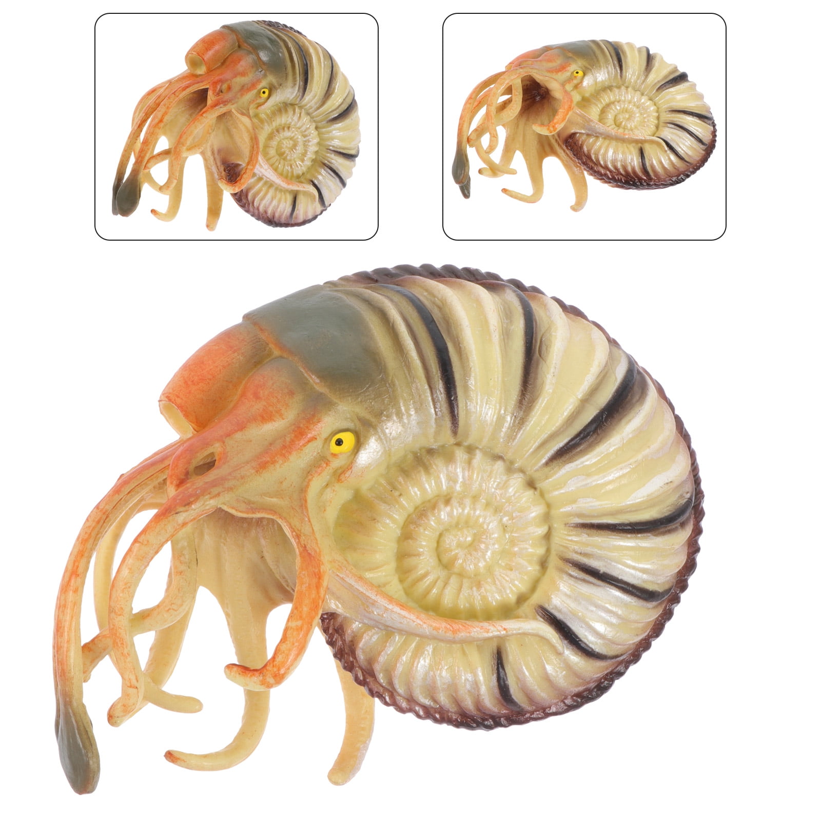 FONDOTIN Simulated Animal Model PVC Material Nautilus Shape 1Set 3.93X2 ...