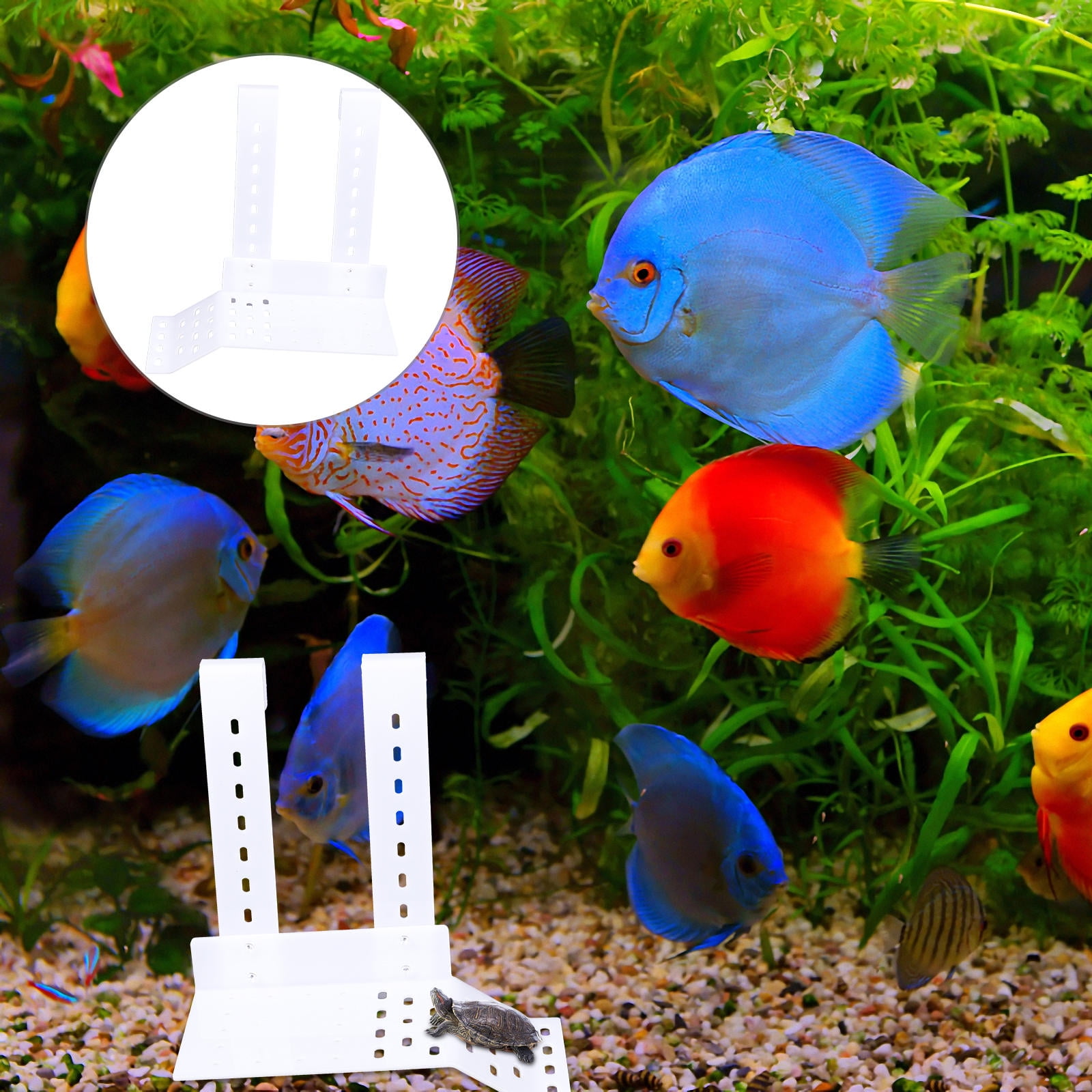 FONDOTIN 1Set White Acrylic Turtles Basking Platform for Pet Owners ...