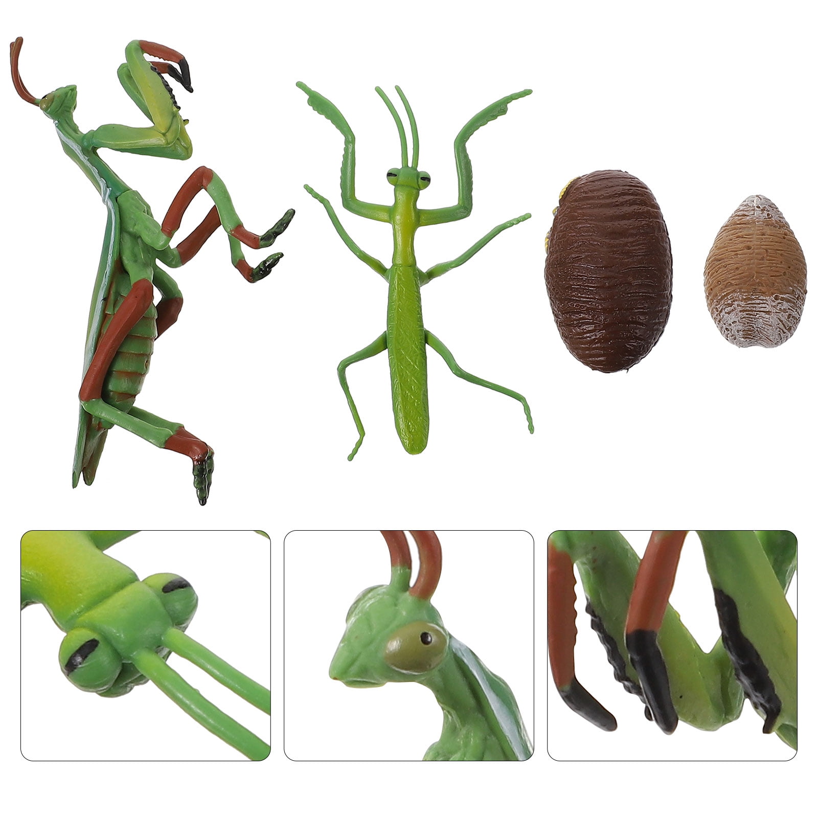 FONDOTIN 6Set Mantis Life Cycle Figure Realistic Mantis Shape Insect ...