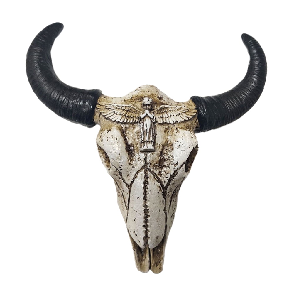 Bovine Skull