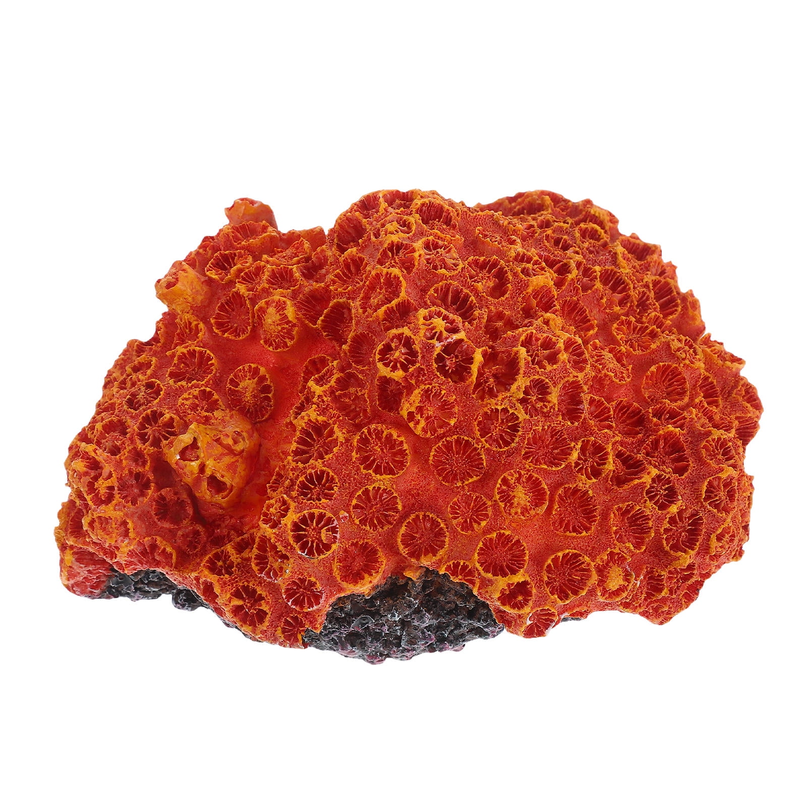FONDOTIN Coral Reef Craft Multi-colored 1Pcs 5.1x3.9x2.8in - Walmart.com