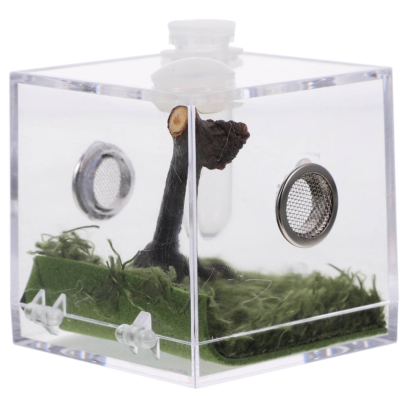 FONDOTIN Insect Terrarium 1 Set Transparent Acrylic for Reptile ...