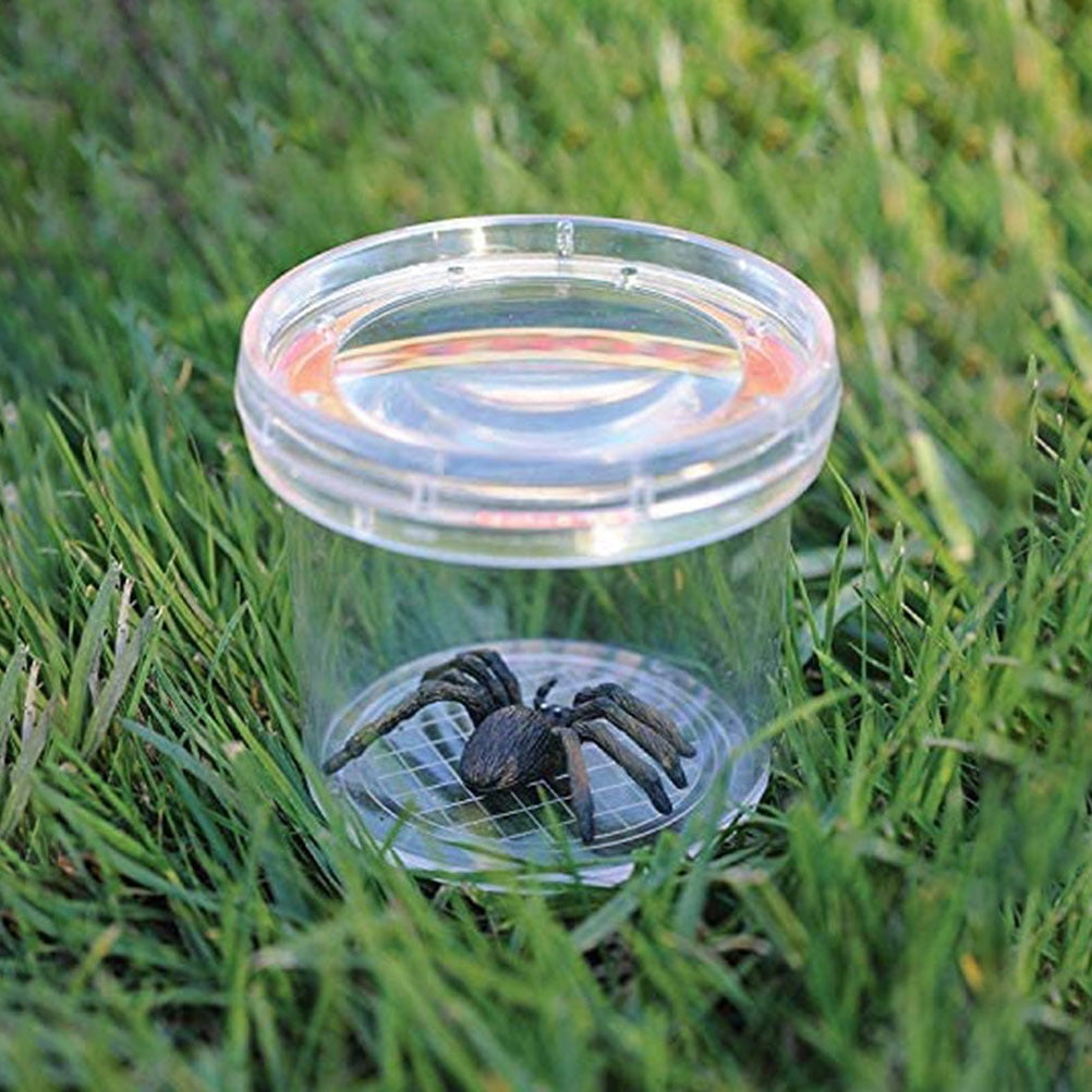 FONDOTIN Magnifying Display Box for 5Pcs - Walmart.com