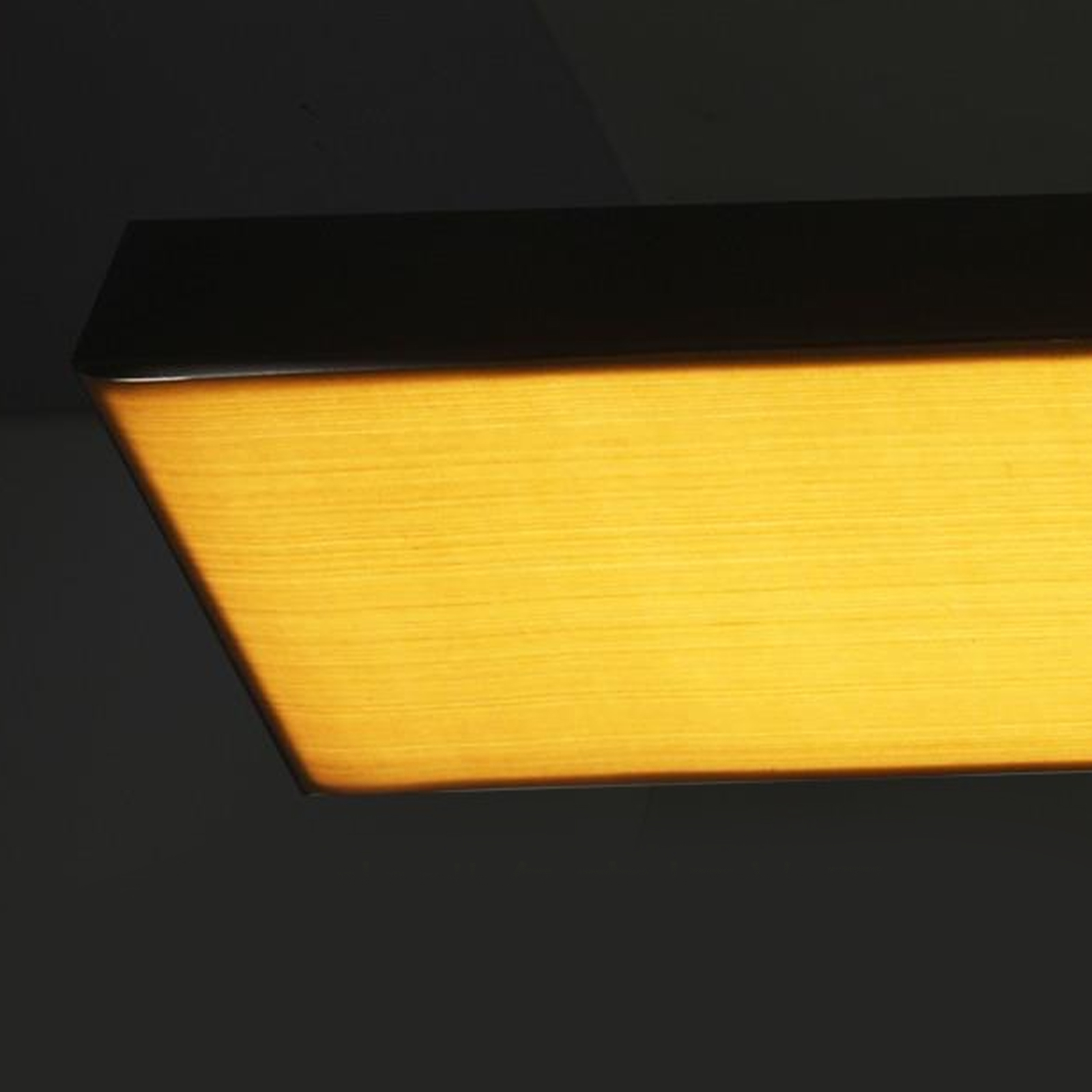 FONWILYO 1Pack Ceiling Light Shade Cover Rectangular Plastic Anti ...