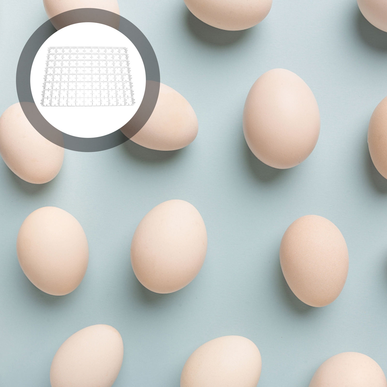 FONWILYO 1Pcs Beige Plastic Grid Egg Incubation Tray for Farmers and ...