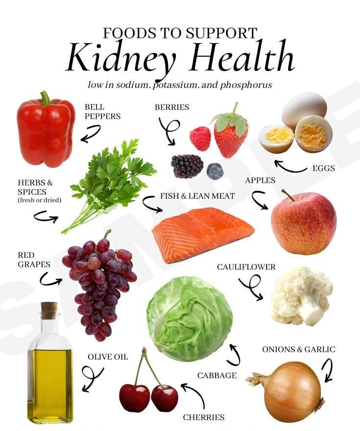 FOODS TO SUPPORT Kidney Health lowin sodium,potassium,and ...