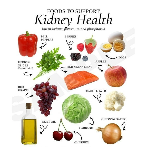 FOODS TO SUPPORT Kidney Health lowin sodium,potassium,and ...