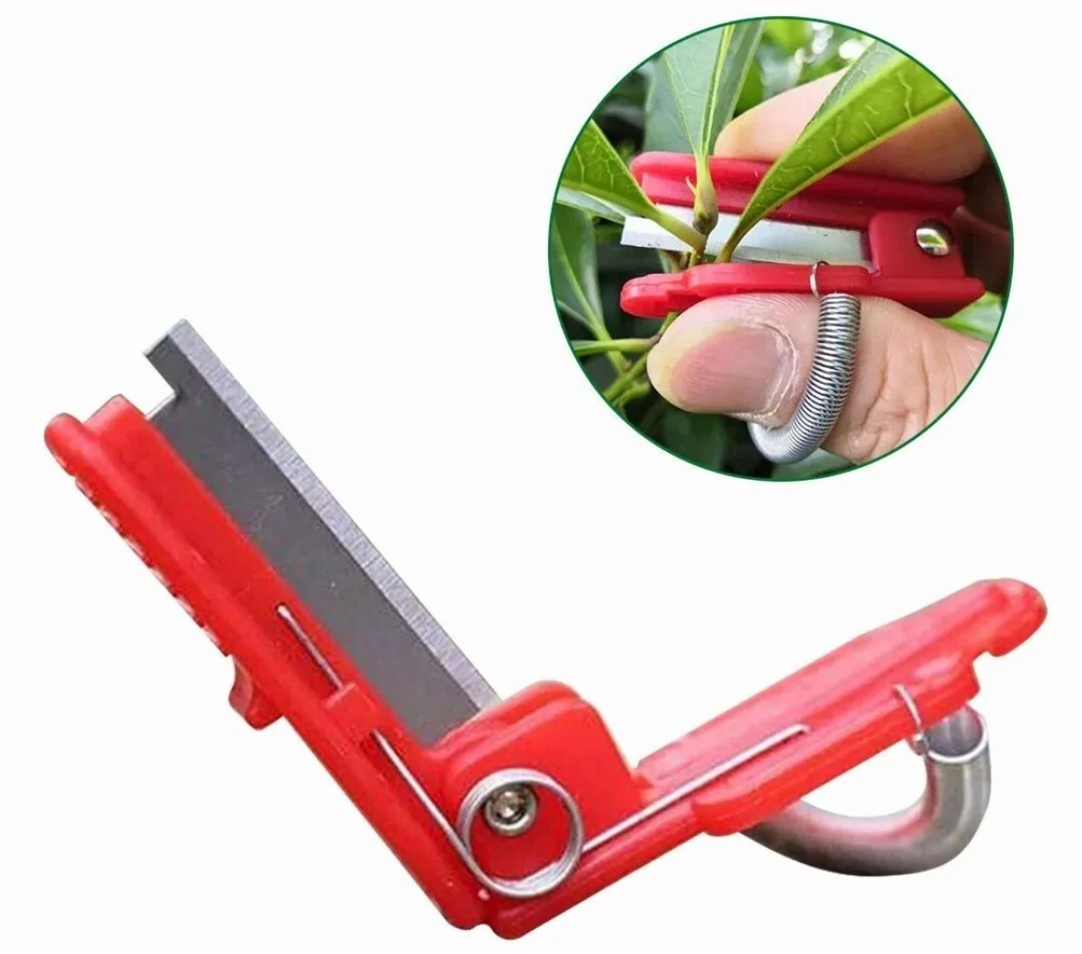 FORGE- 2×Thump Knife Separator Vegetable Fruit Harvesting Picking Tool ...
