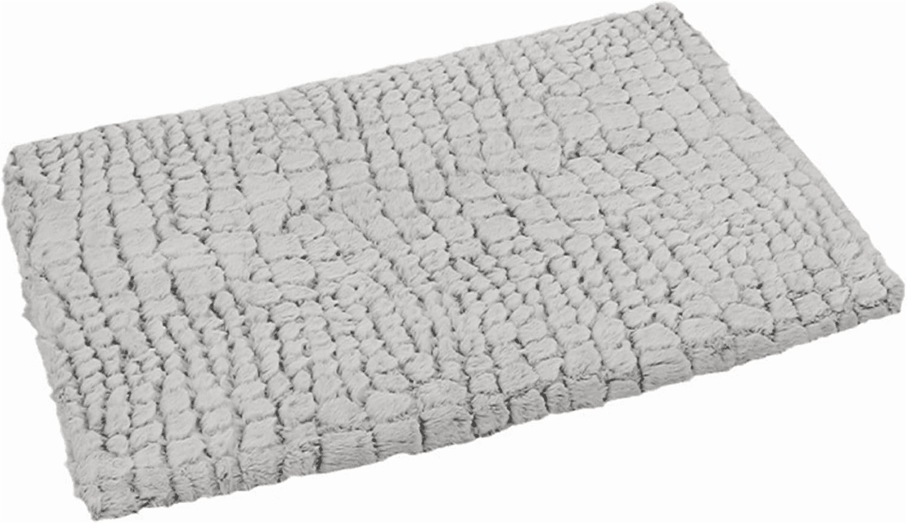 FORICOM Super Absorbent Microfiber Dog Door Mat for Muddy Paws, Non ...