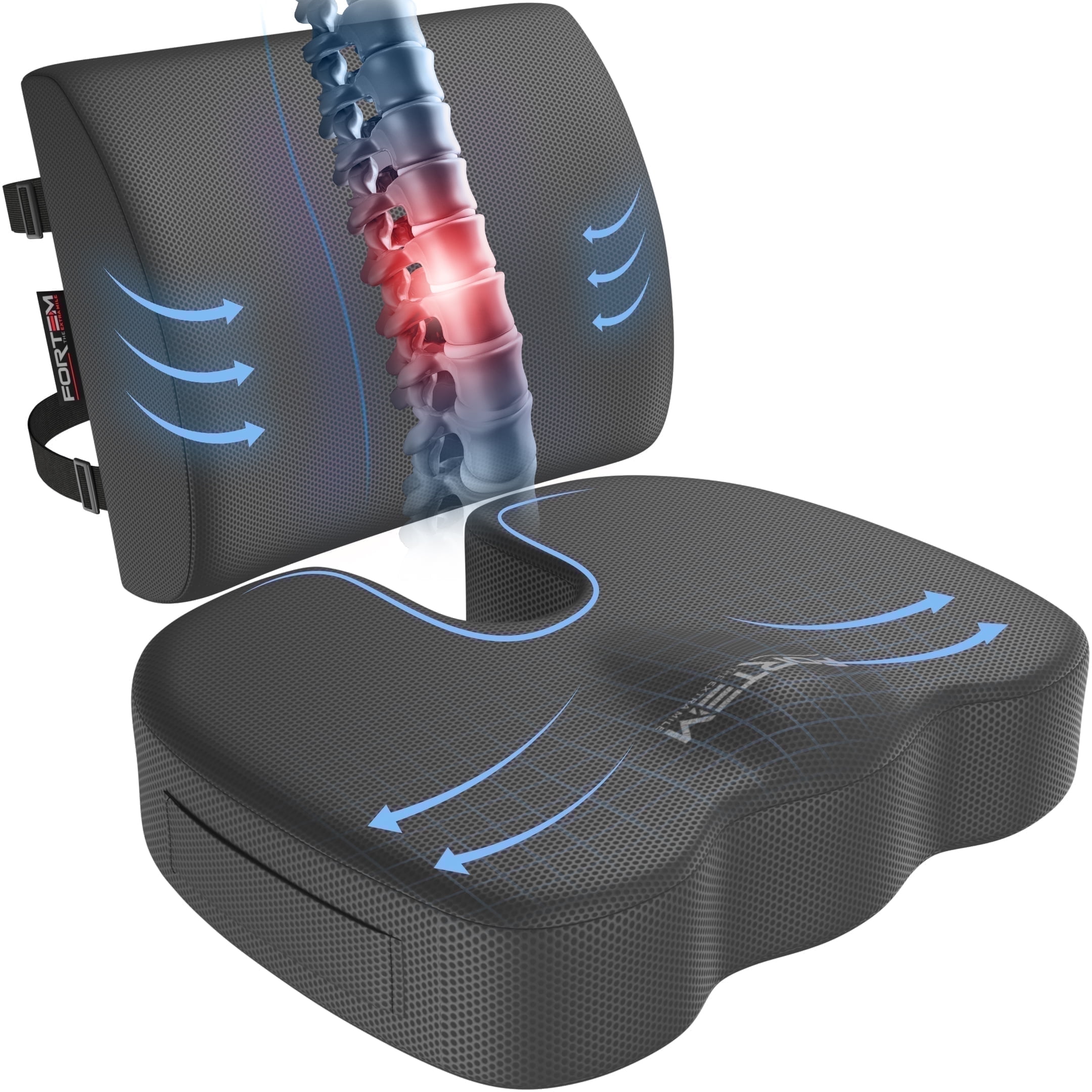 FORTEM Office Chair Cushion and Back Support for Office Chair, Lumbar ...
