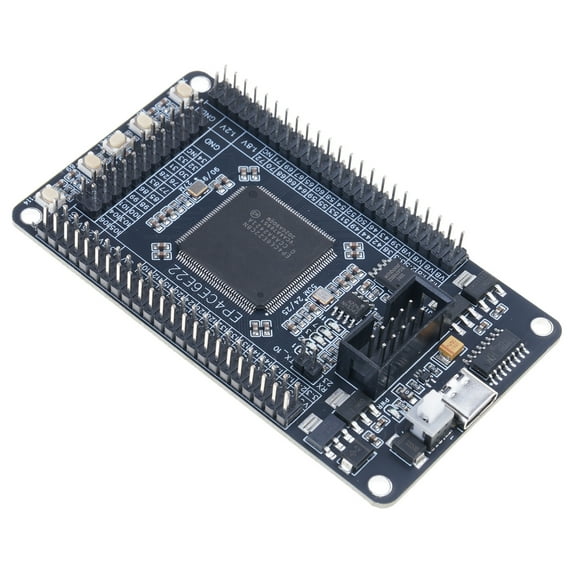 FPGA Based Prototyping Platform EP4CE6E22C8N Programmable Microcontroller Development Board ...