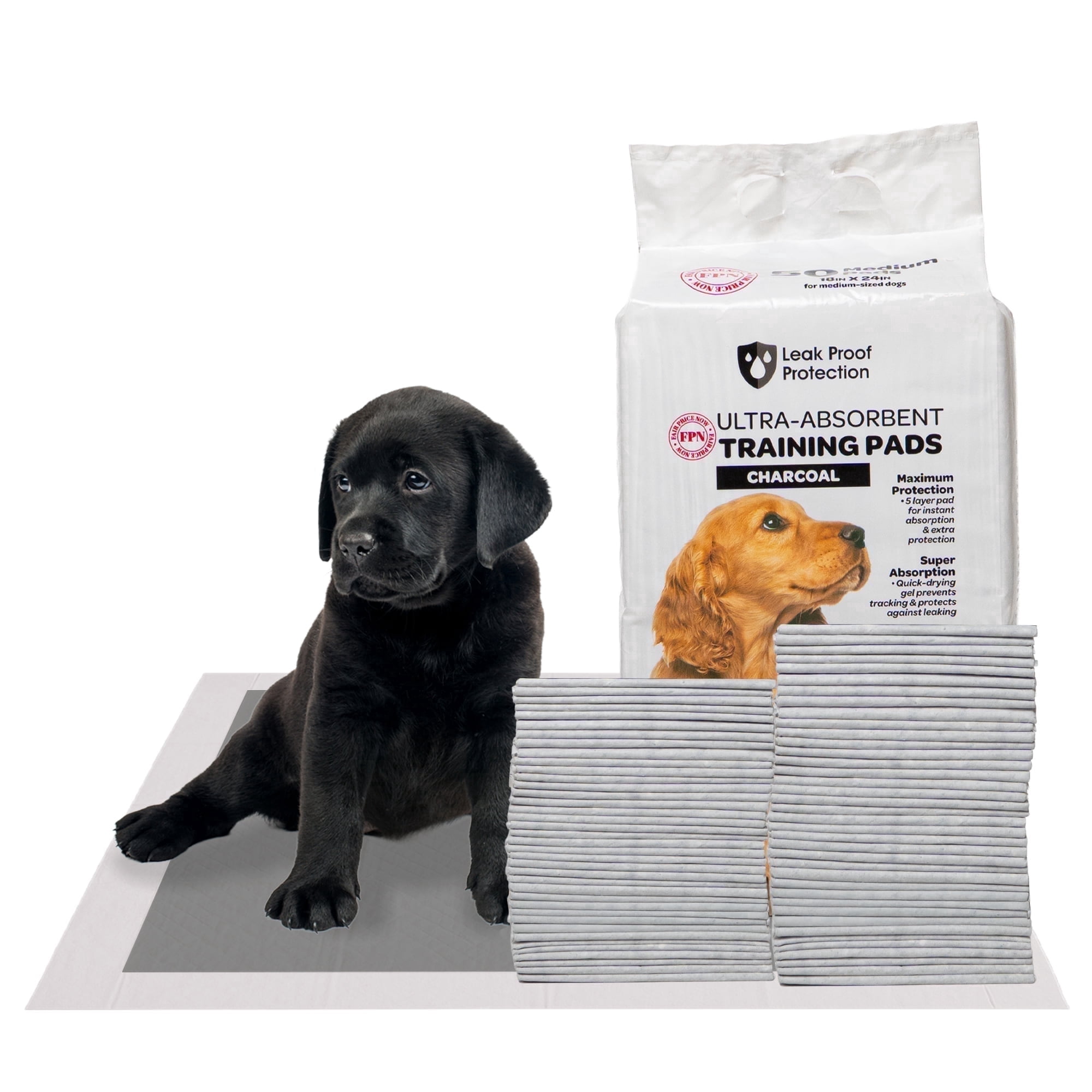 FPN Charcoal Puppy Pads 18x13 Inch | Pack of 100 | Odor-Control Super ...