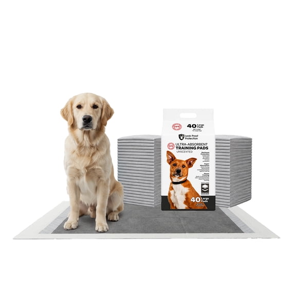 Charcoal Puppy Pads for Training and Potty Indoor Large Pet Pads