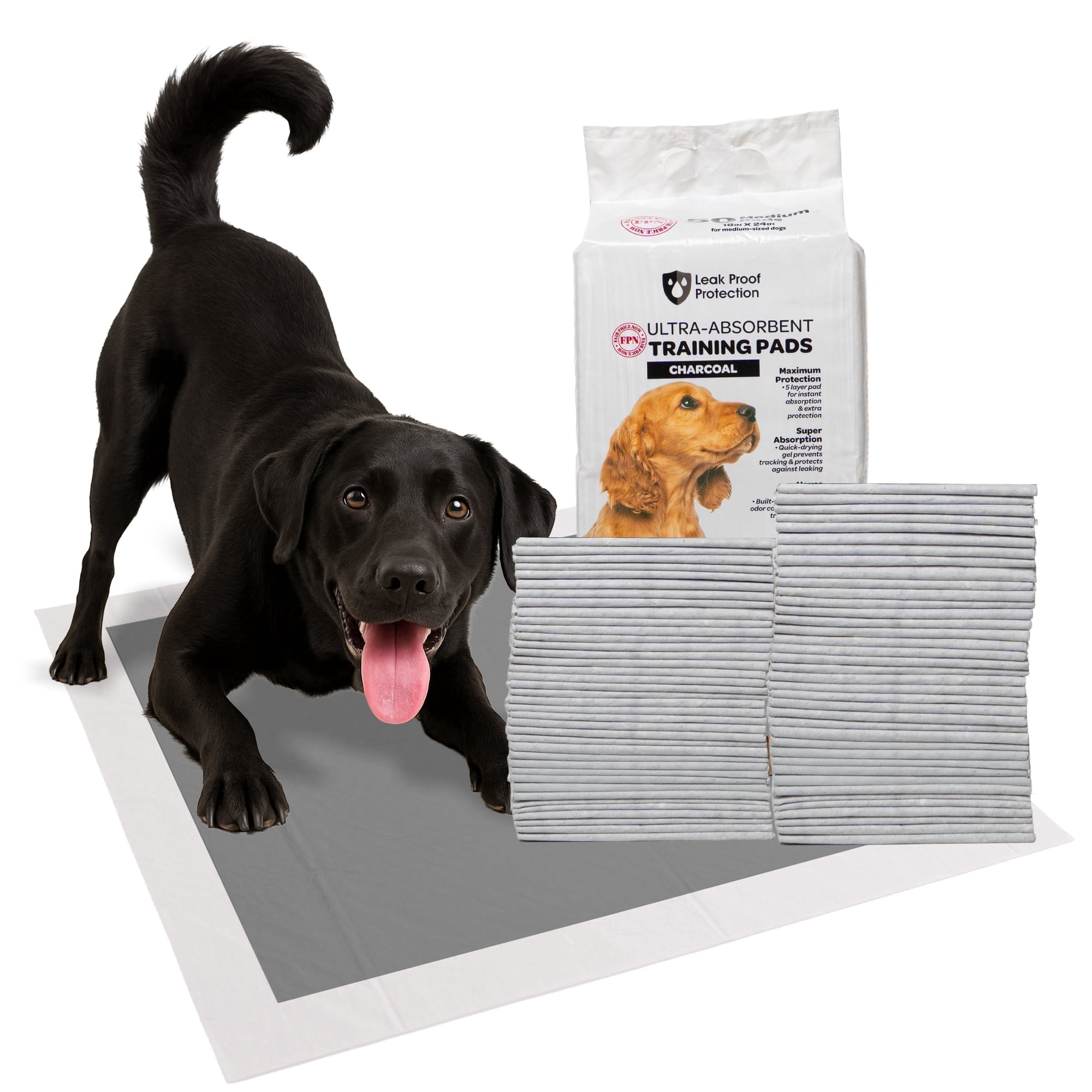 FPN Puppy Pads Charcoal 24"x24" Pack of 40 Odor-Control Leak-Proof ...