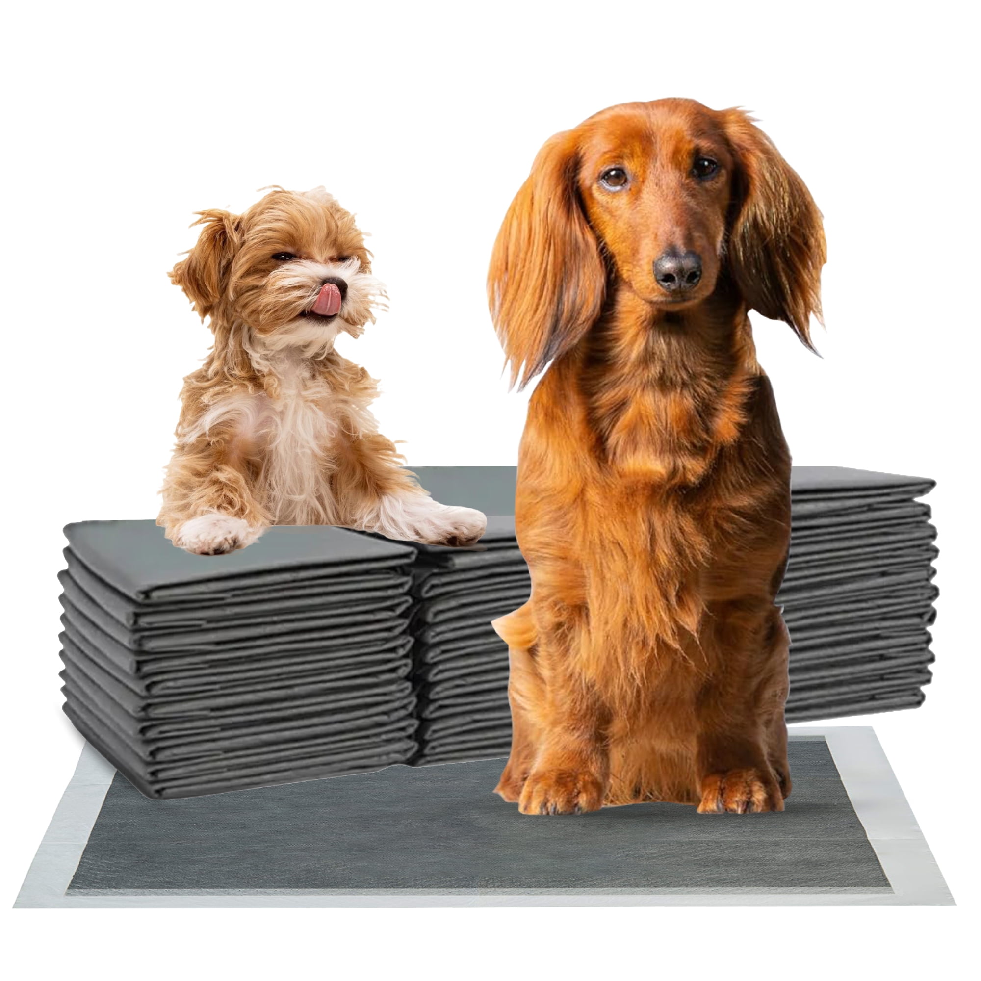 FPN Charcoal Puppy Pads 24"x24" | Pack of 40 | Odor-Control Super ...