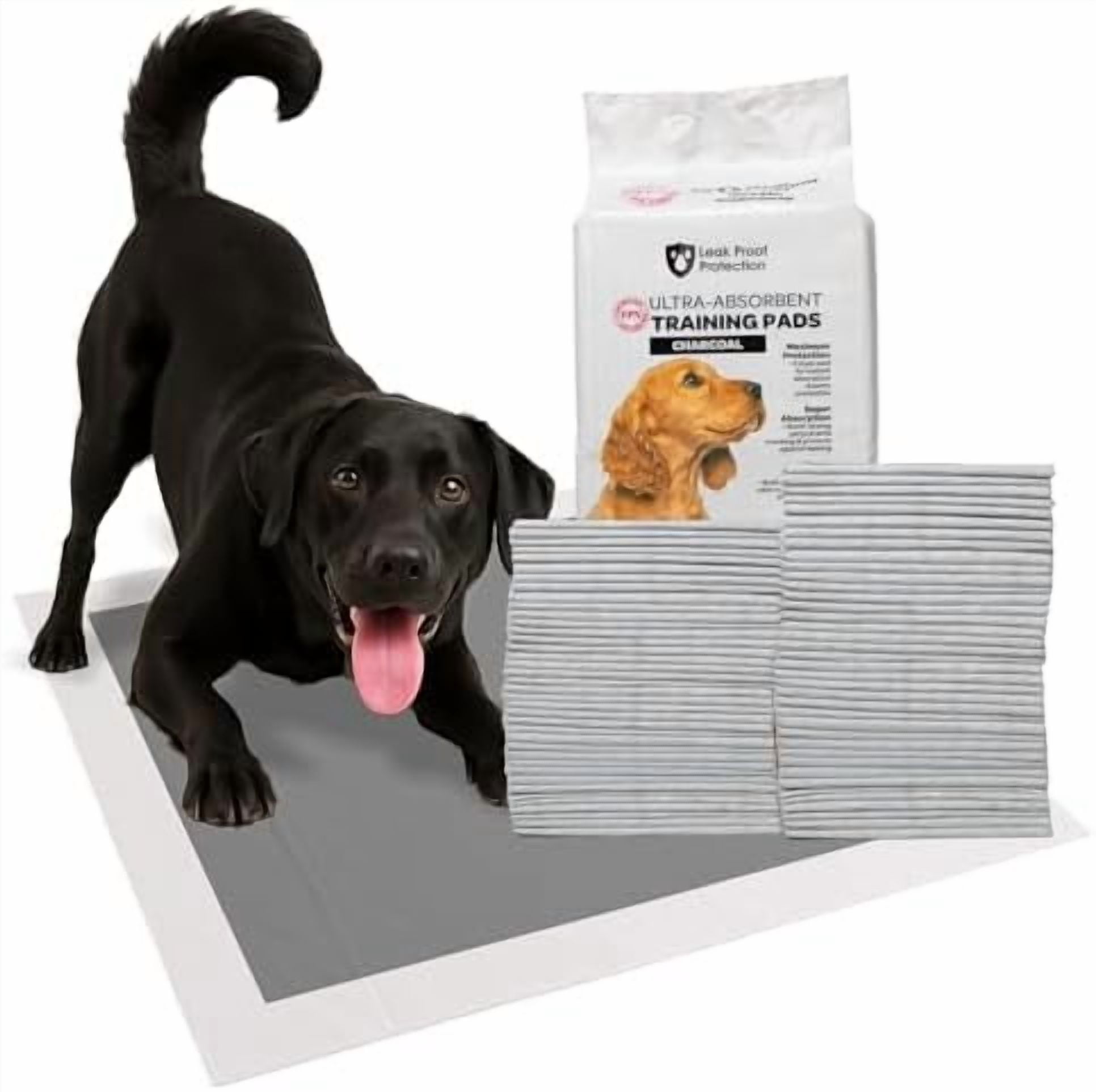 FPN Charcoal Puppy Pee Pads for Dogs | 24x24 Inches | 200 Count | Extra ...
