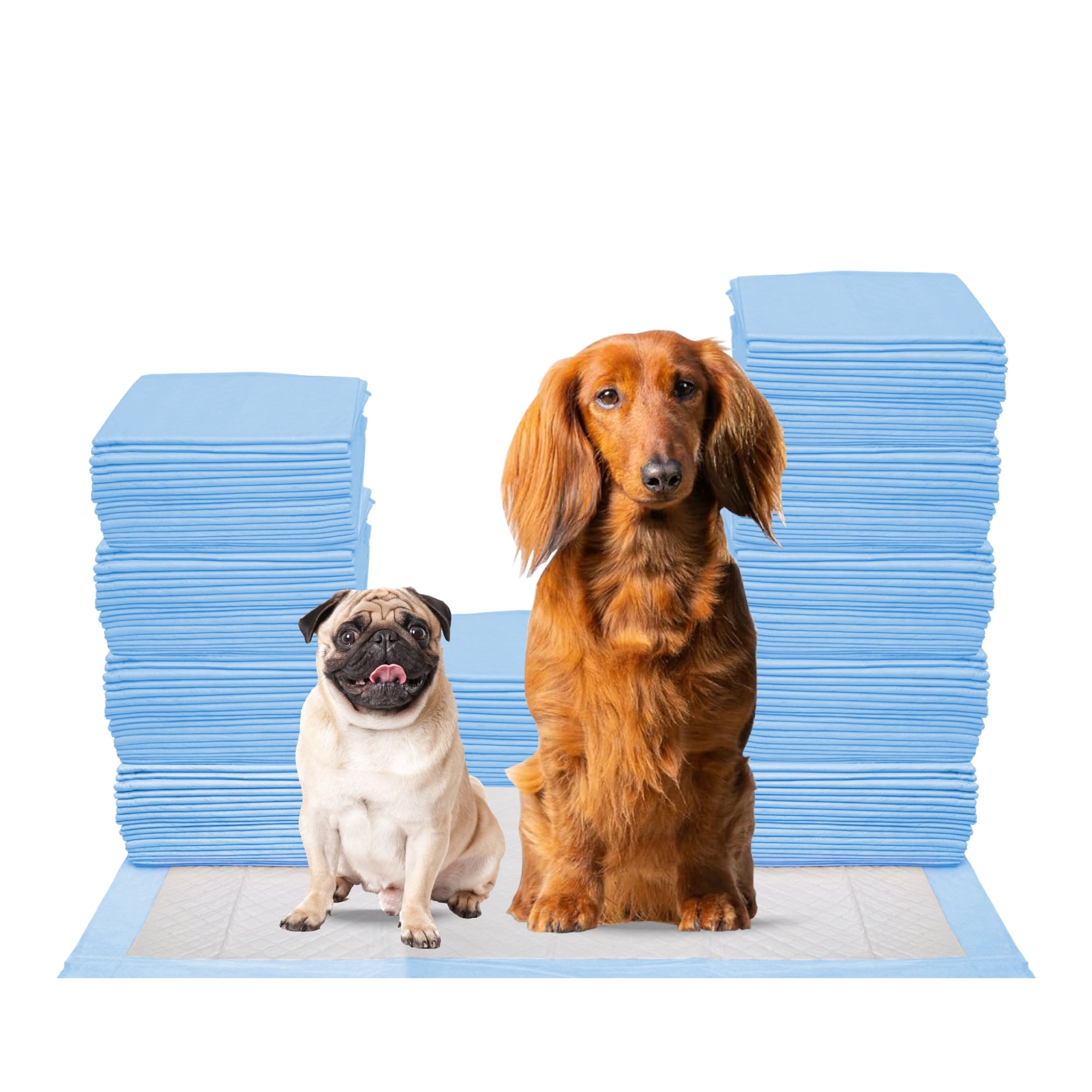 FPN Dog Pads 200 Count, 24x36 Inch X-Large | Super Absorbent & Fast ...