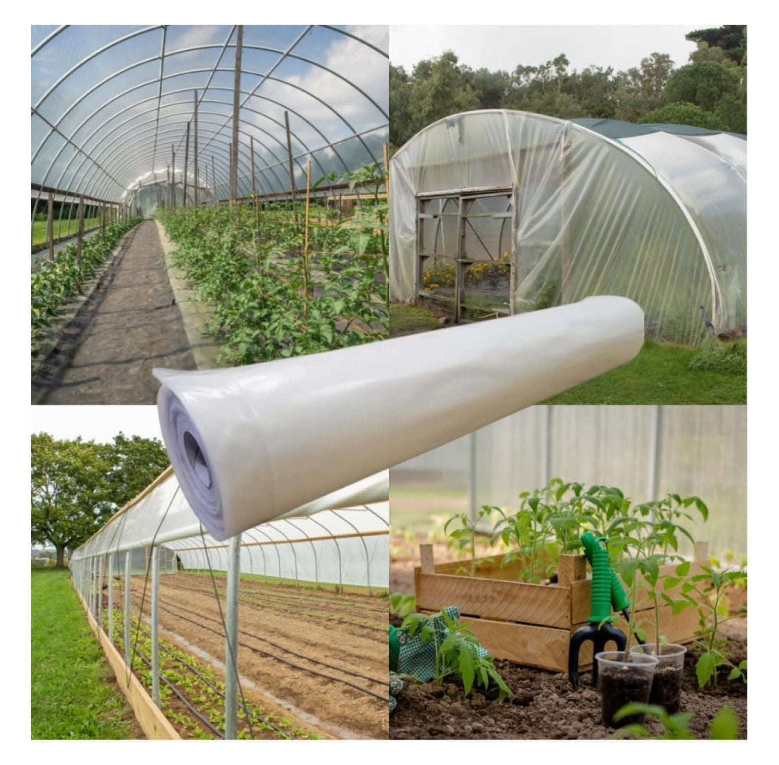 FPS - 4 Year Clear 6 mil Greenhouse Plastic Sheeting - Clear Greenhouse ...