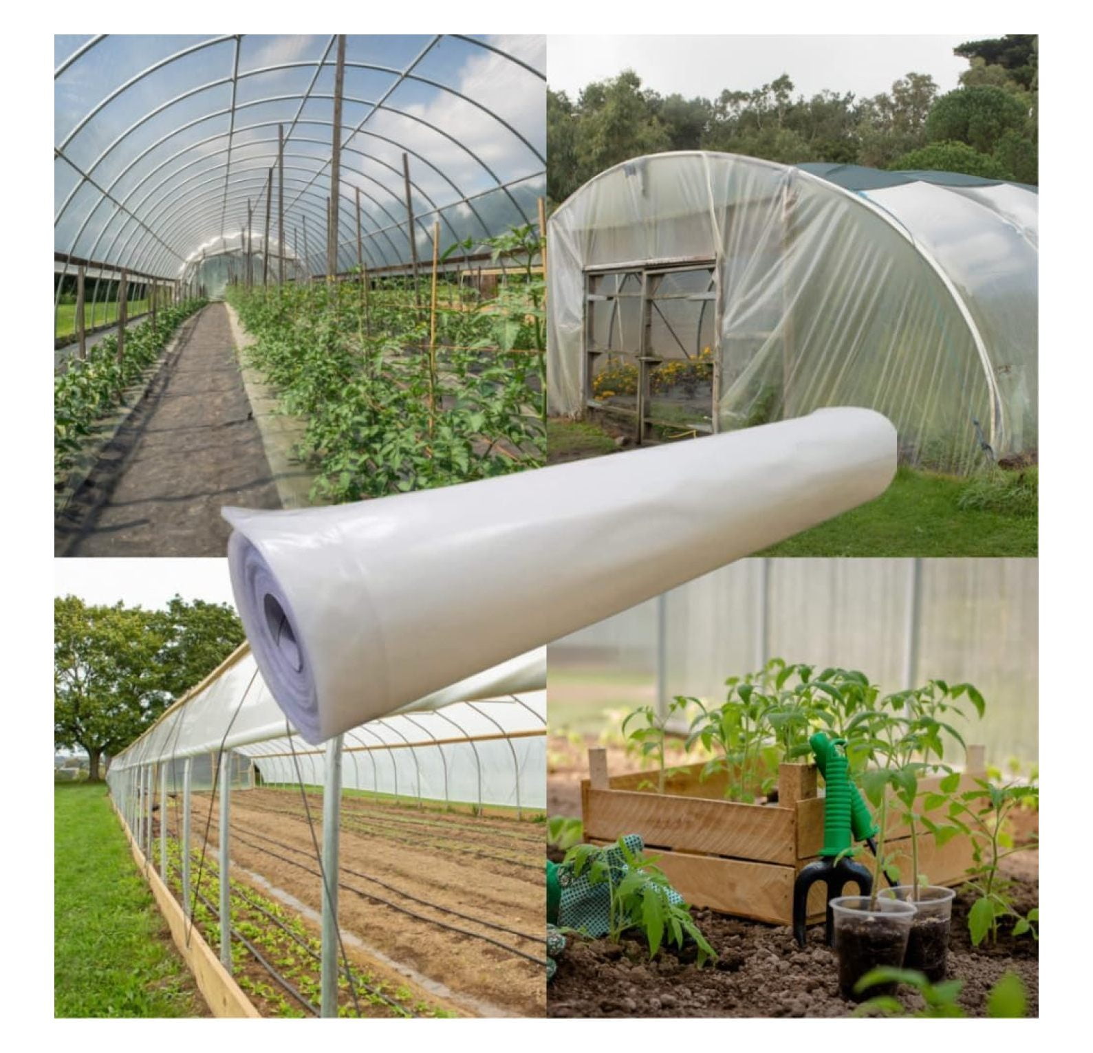 FPS - 4 Year Clear 6 mil Greenhouse Plastic Sheeting - Clear Greenhouse ...