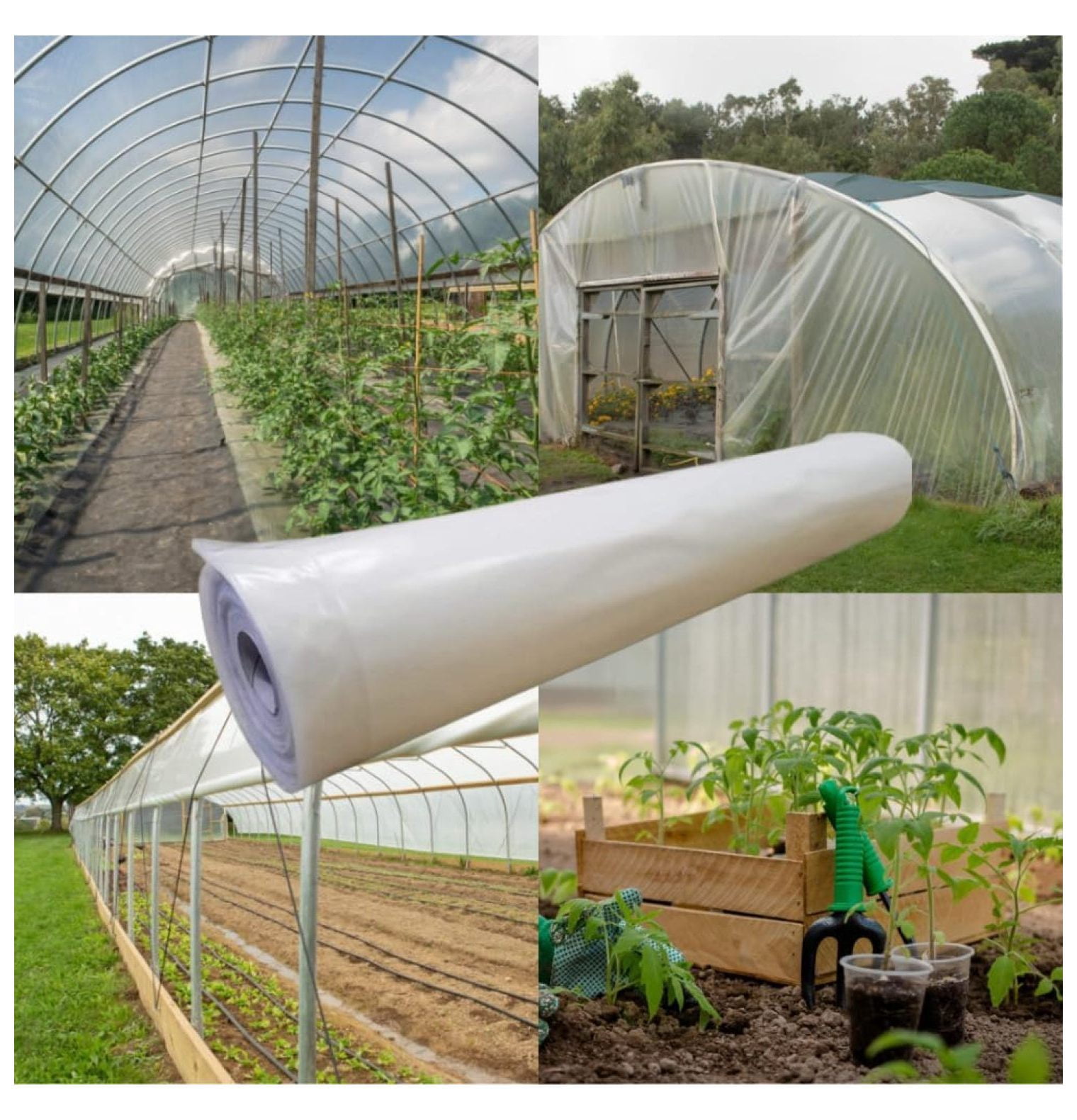FPS - 4 Year Clear 6 mil Greenhouse Plastic Sheeting - Clear Greenhouse ...